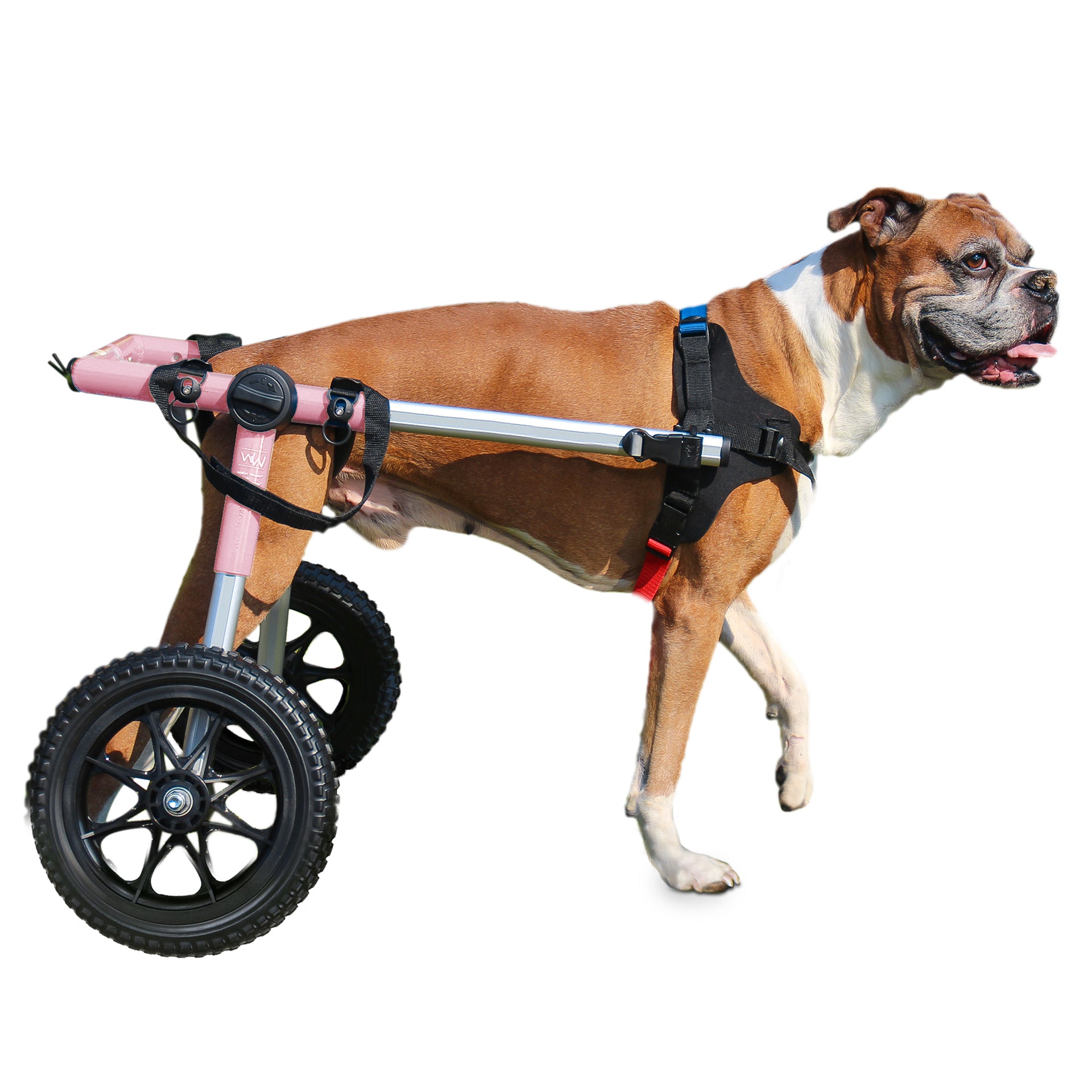 Walkin' Wheels Large Dog Wheelchair for Walkin' Pets