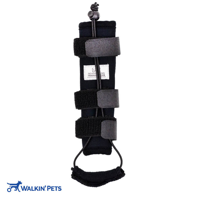 No-Knuckling Training Sock | Dog Dragging Back Paws | Walkin' Pets