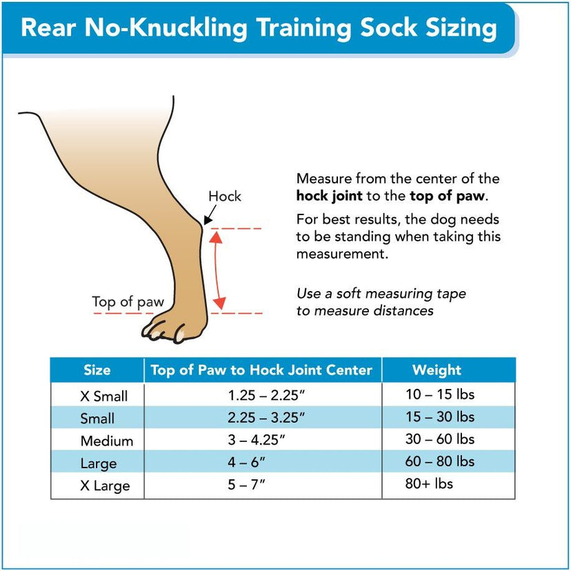 No-Knuckling Training Sock | Dog Dragging Back Paws | Walkin' Pets