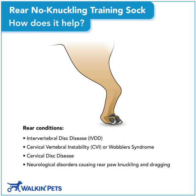 No-Knuckling Training Sock | Dog Dragging Back Paws | Walkin' Pets