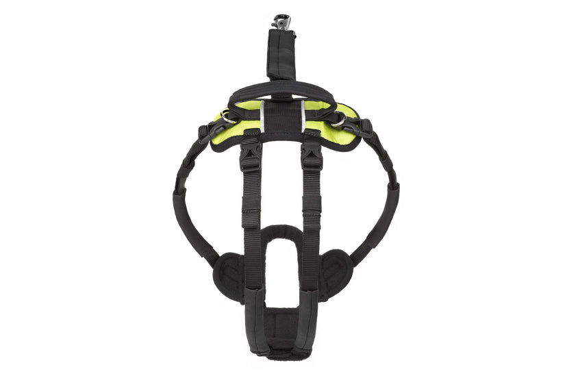 Help 'Em Up Harness – Walkin' Pets