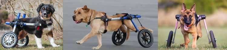 Walkin' Wheels Large Dog Wheelchair for Walkin' Pets