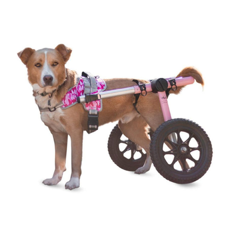 Cat Wheelchair | Walkin' Wheels Wheelchair for Cats | Walkin' Pets