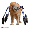 Walkin' Wheels® Front Attachment | Walkin' Wheels | Walkin' Pets