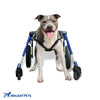 Walkin' Wheels® Front Attachment | Walkin' Wheels | Walkin' Pets