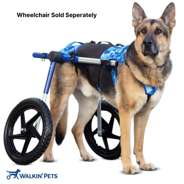 Medium Dog Wheelchair for Pets 25-69 Lbs | Walkin' Wheels – Walkin' Pets