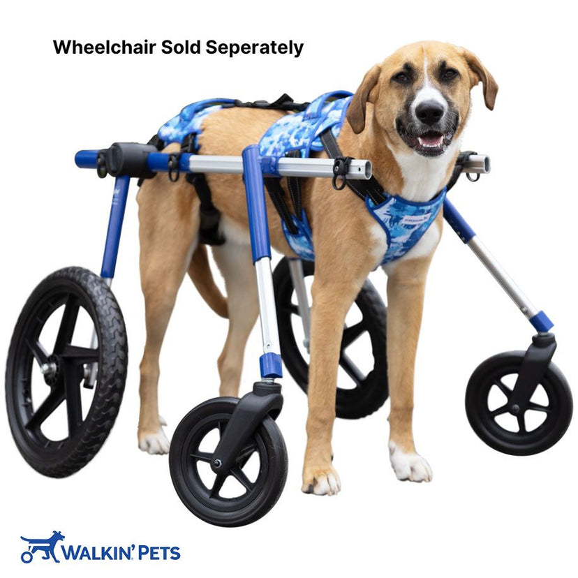 Walkin' Wheels Large Dog Wheelchair for Walkin' Pets