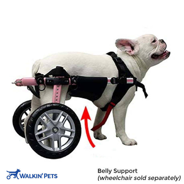 Walkin' Wheels Parts | Walkin' Pets
