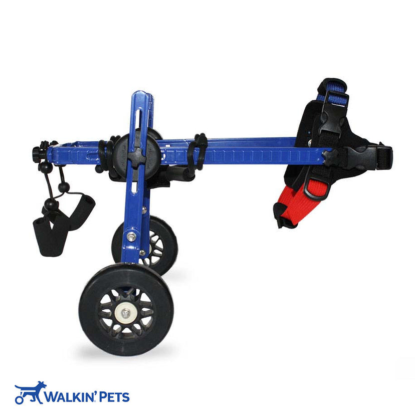 Cat Wheelchair | Walkin' Wheels Wheelchair for Cats | Walkin' Pets