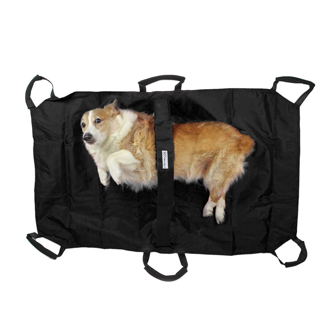 Dog Stretcher | How To Carry A Pet | Animal Stretcher | Walkin' Pets