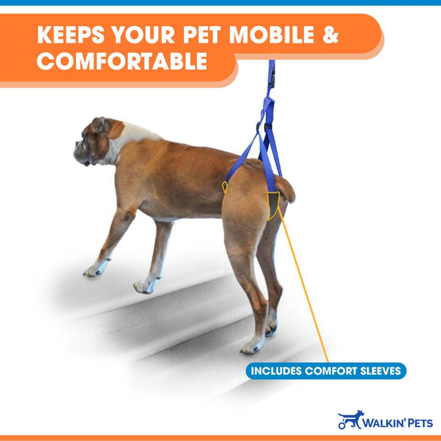 Rear Support Leash Walking Aid for Dogs | Walkin' Pets