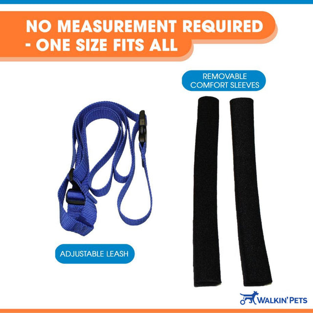 Rear Support Leash Walking Aid for Dogs | Walkin' Pets