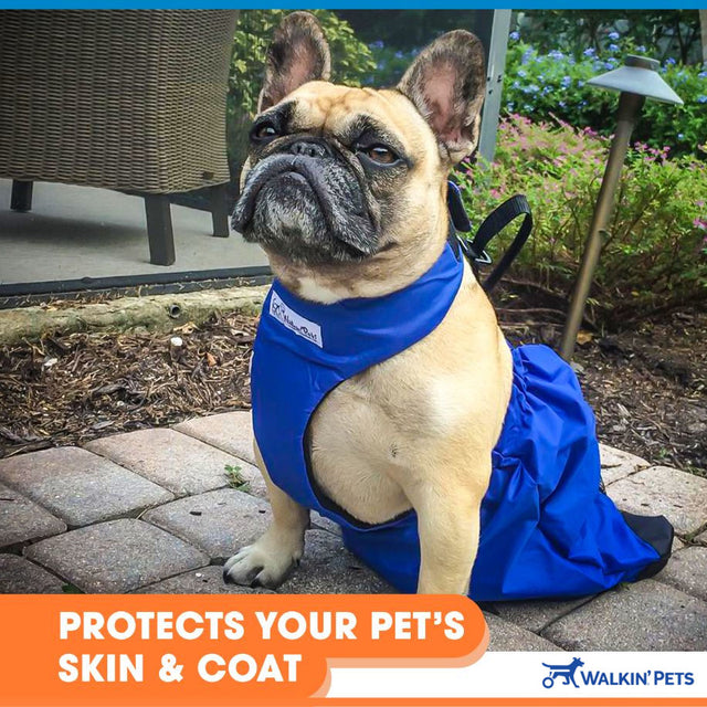 Drag Bag | Walkin' Drag Bag | Dog Drag Bag | Walkin' Pets