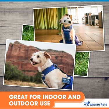 Drag Bag | Walkin' Drag Bag | Dog Drag Bag | Walkin' Pets